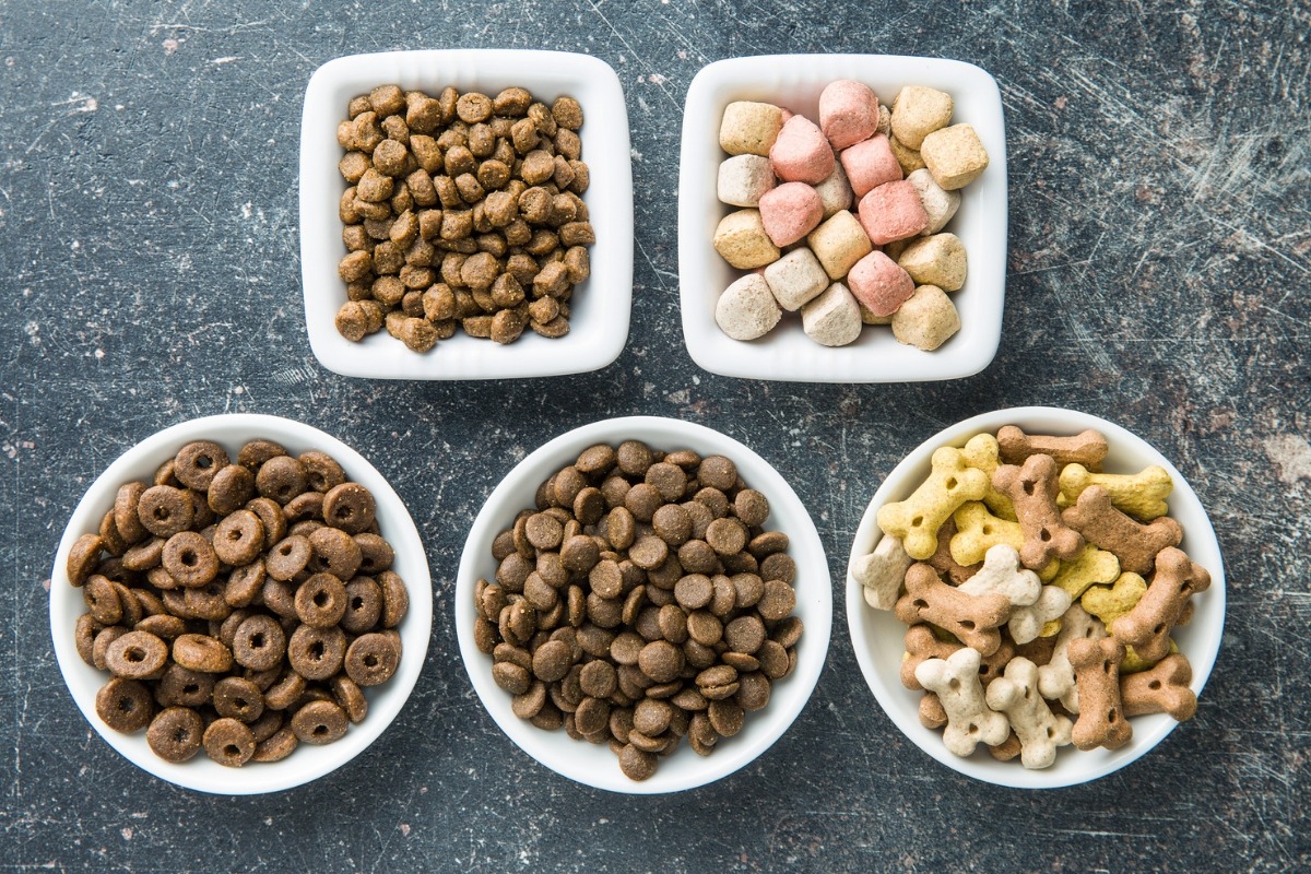 Can I Mix Different Brands Of Dog Food Is It Safe 