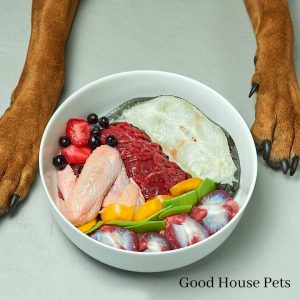 Doberman Pitbull Mix: A Full Guide