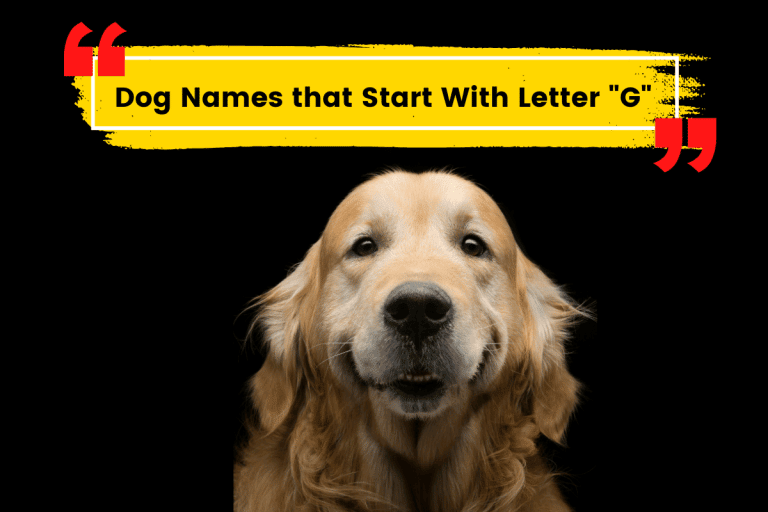 The Best Dog Names That Start With G